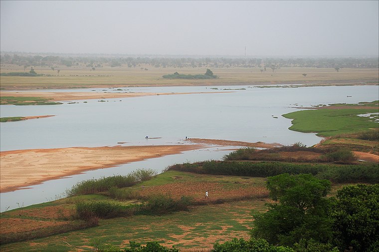 The Niger River: Conservation and Management Stakeholders