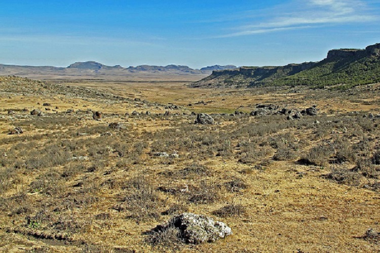 Discovering the Bale Mountains: Explorers and Conservation
