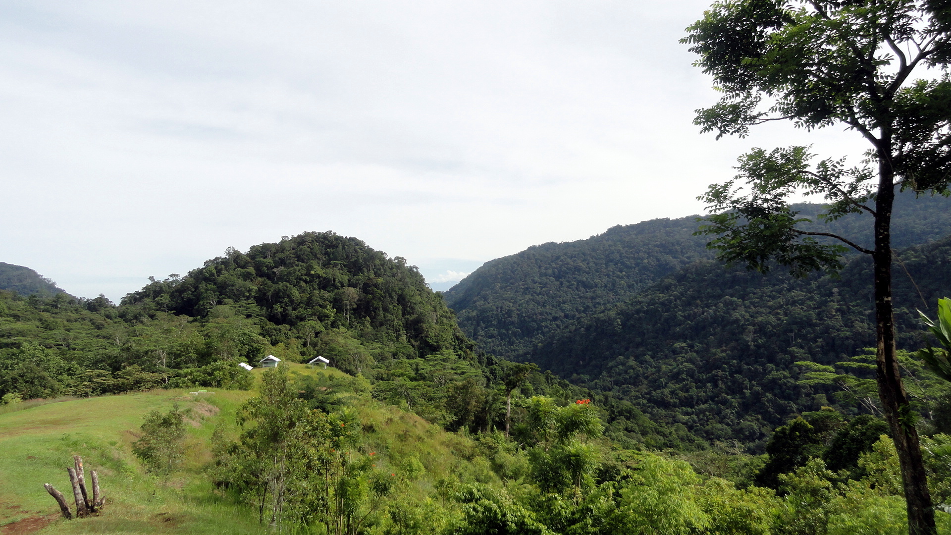 Exploring the Discovery of Owen Stanley Range Mountains