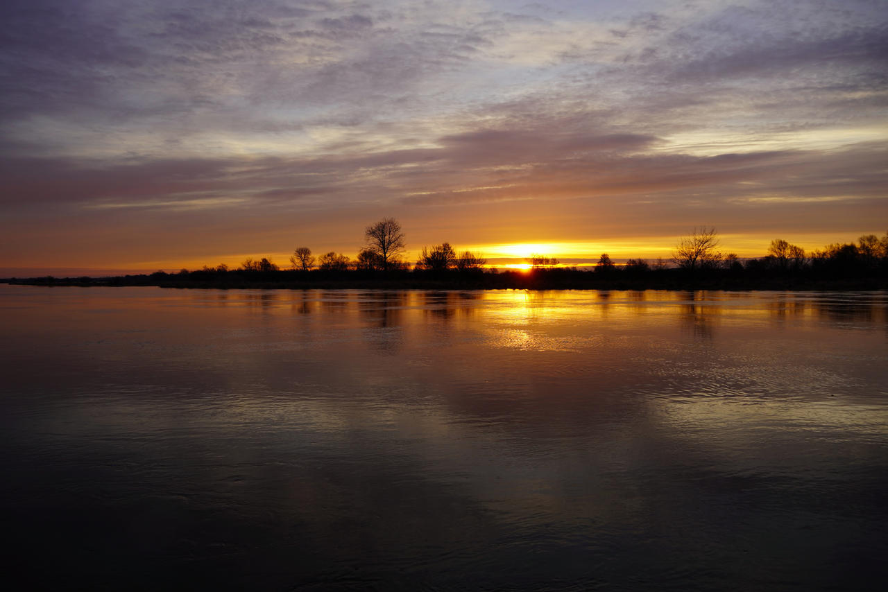 Bug River History: Unearthing Legends of Power and Resilience