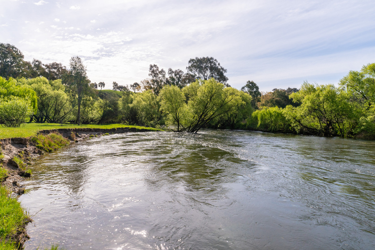 Kiewa River History: Pioneers, Protectors, and Progress