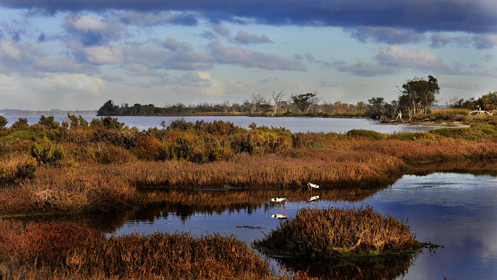 Peel River: Explore the Captivating Journey of Historical Figures and ...