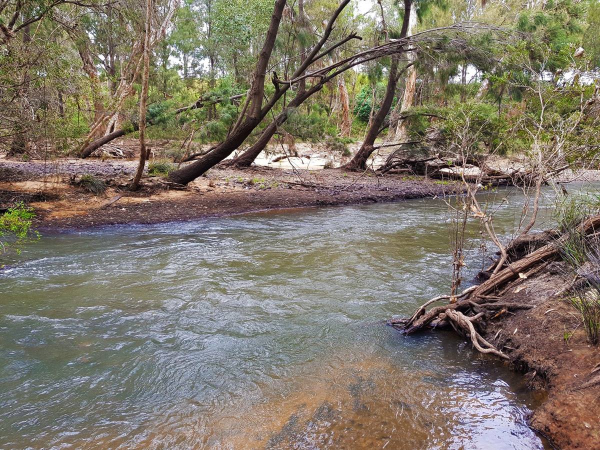 Walsh River: Delve into the Rich Tapestry of Historical Figures