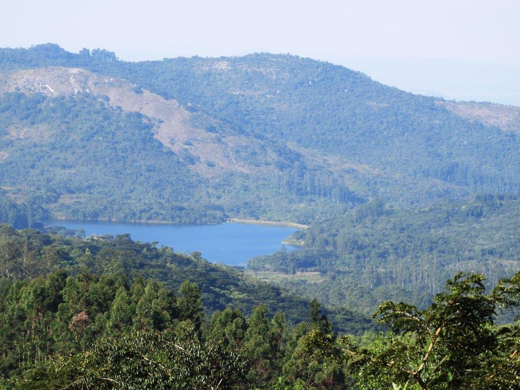 The Intriguing Discovery of Bvumba Mountains: Revealing the Pioneers