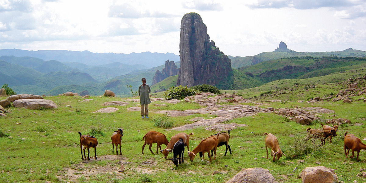 The Fascinating Story of Mandara Mountains' Discovery