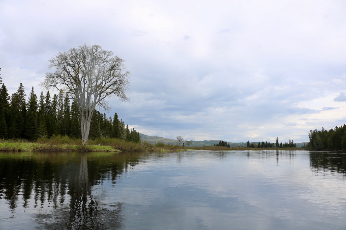 Allagash River: Explore the Rich History Key Figures and Civilizations