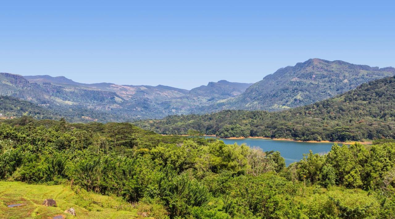 Kotmale Oya River: Explore the Captivating Journey of Historical ...