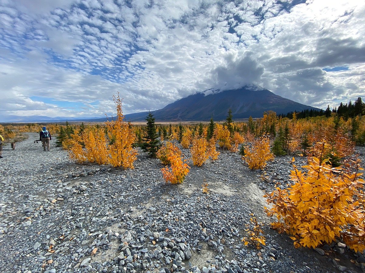 Mount Logan: Explore the Fascinating History Behind
